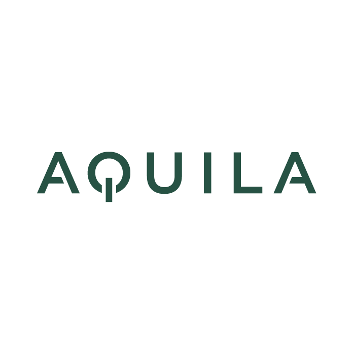 Aquila Vettore Png